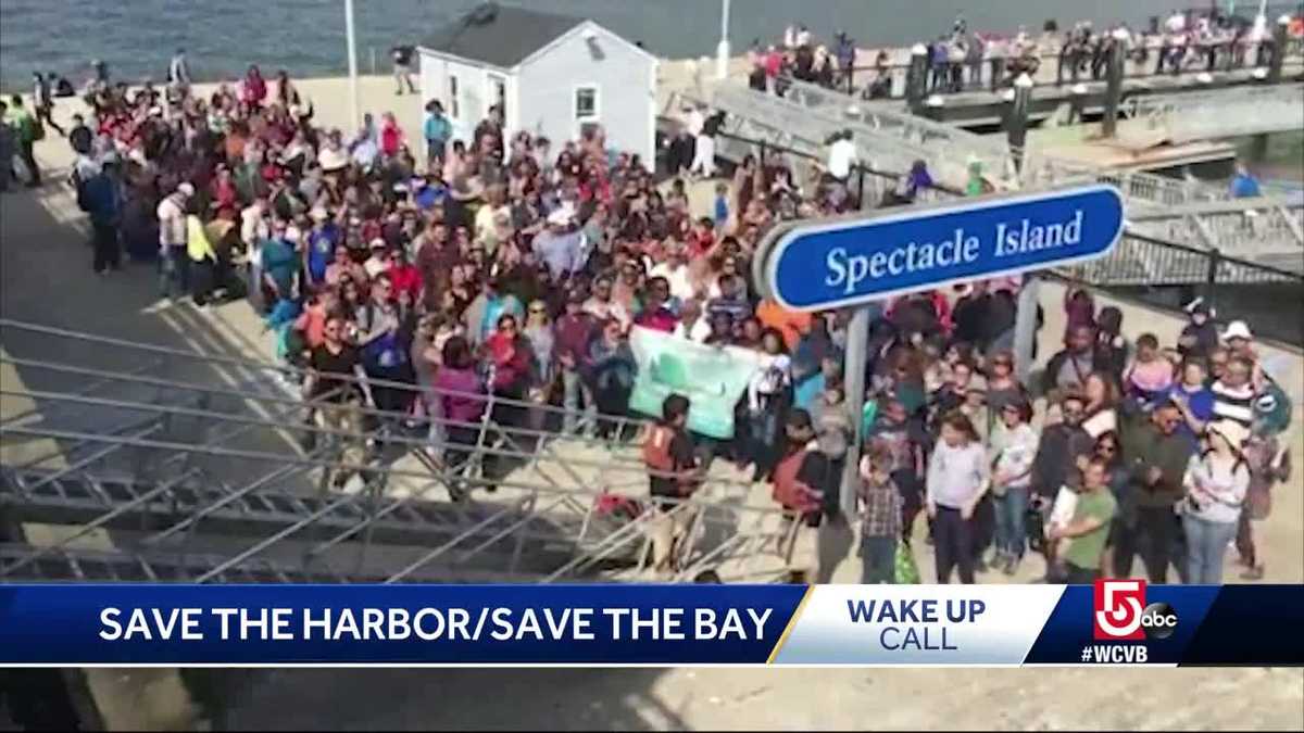 Wake Up Call from Save the Harbor/Save the Bay