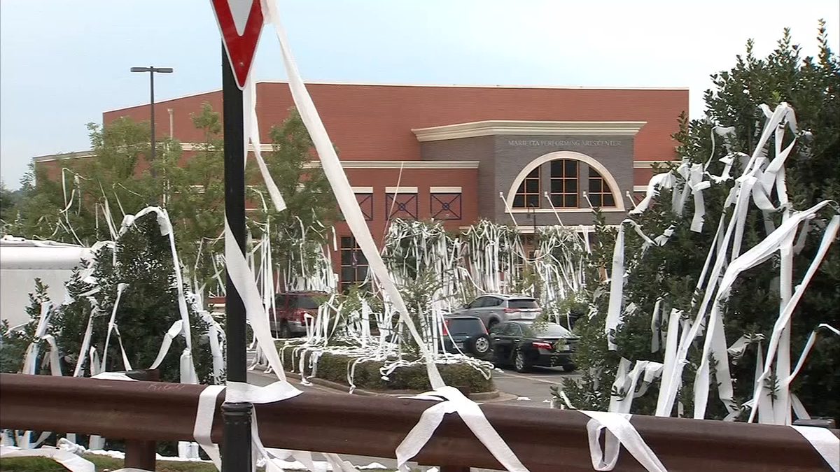 For Tradition s Sake An Epic Toilet papering for-tradition-s-sake-an-epic-toilet-papering