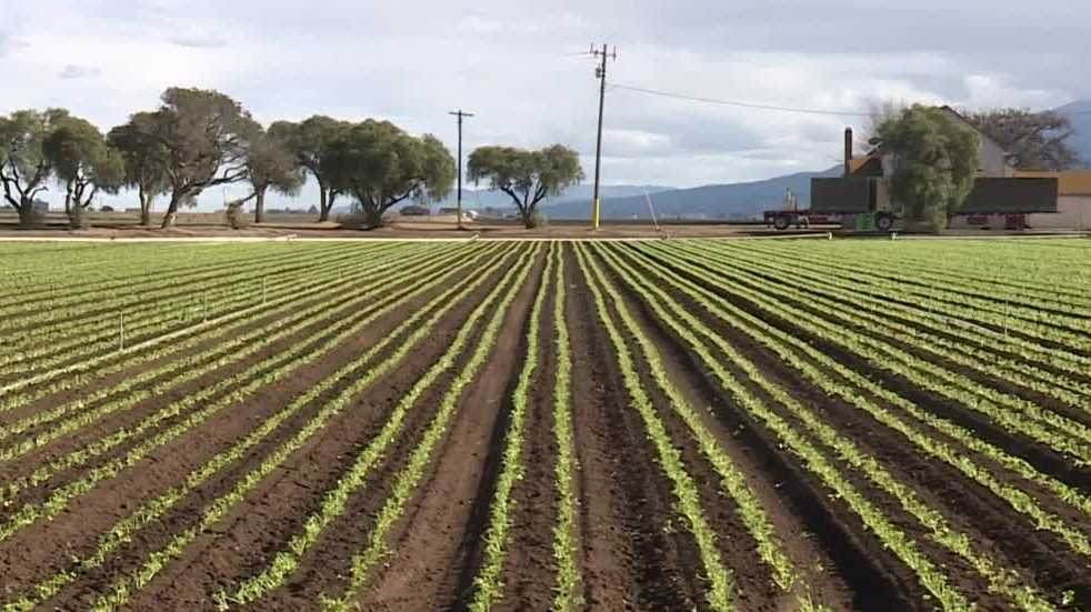 Monterey County emergency officials expect 'minor flooding' with coming ...