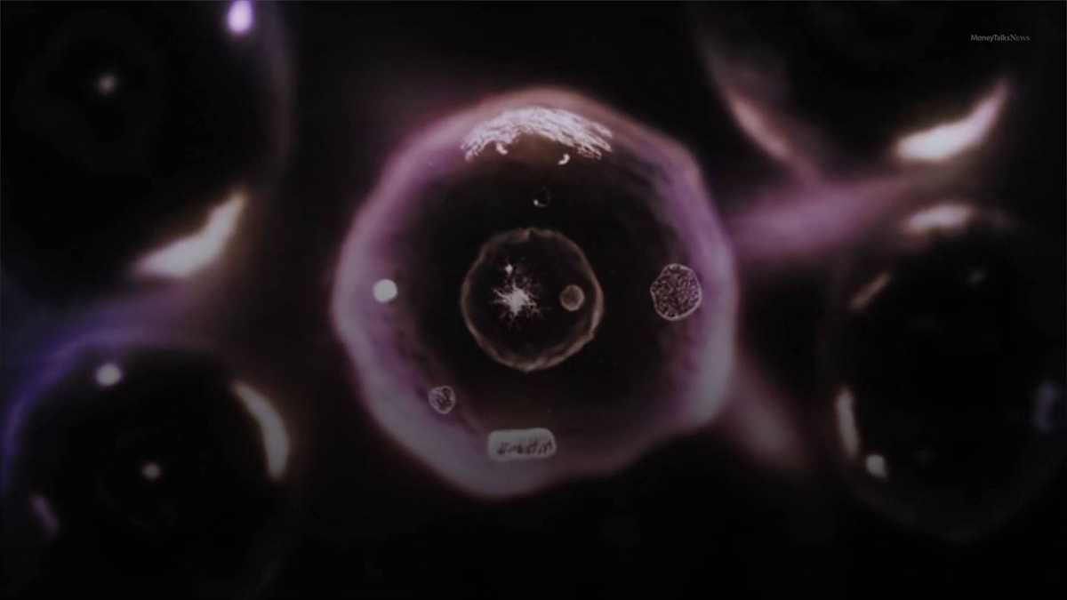Scientists create self-replicating robots from frog cells Scientists create self-replicating robots from frog cells