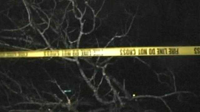 Trees, branches prove as obstacles