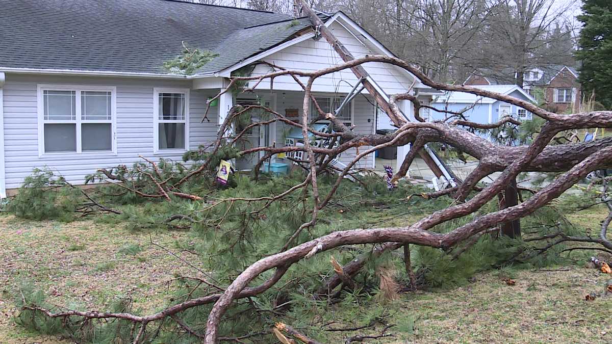 Triad fire sparked by fallen power line, leaking transformer