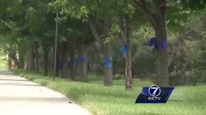 Ribbons, buttons for Lane show support for Graves family