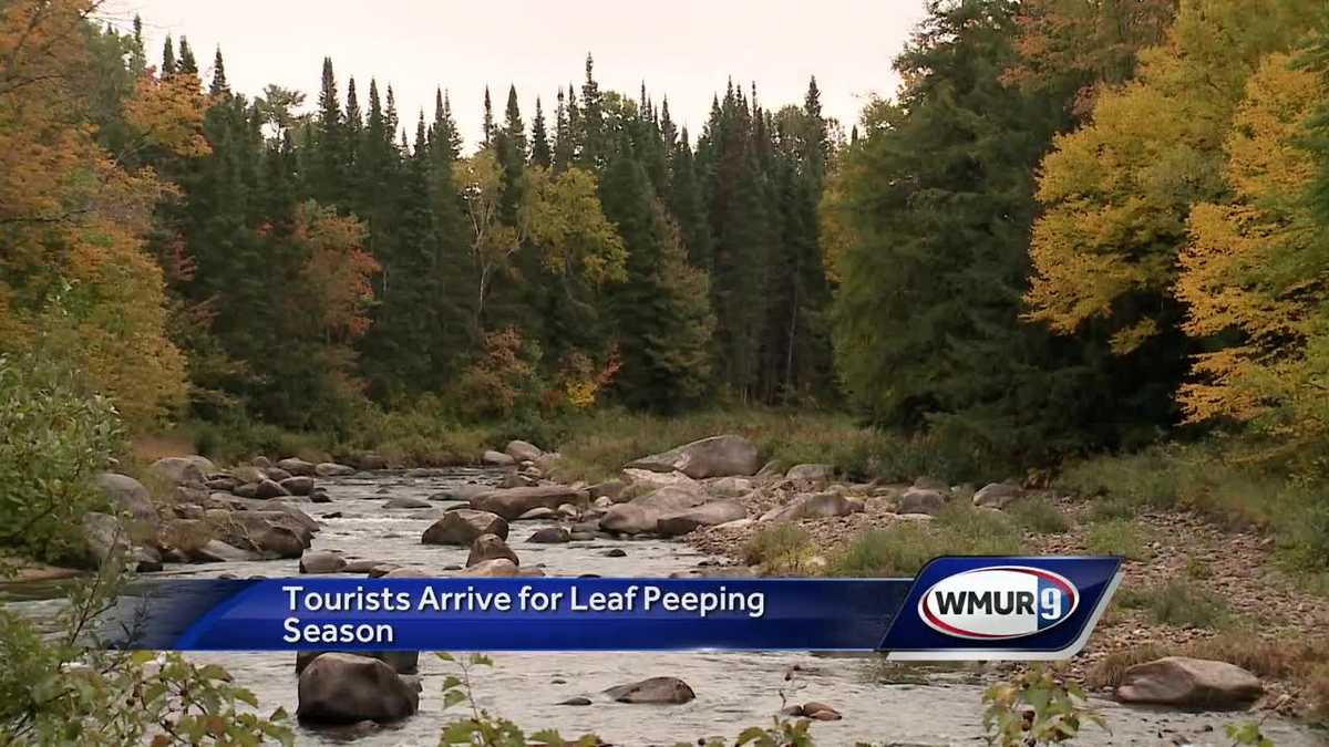 Tourists arrive for early leaf-peeping season Tourists arrive for early leaf-peeping season