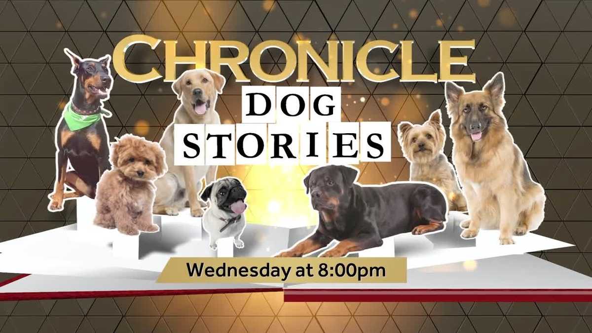 (PREVIEW) Chronicle: Dog Stories