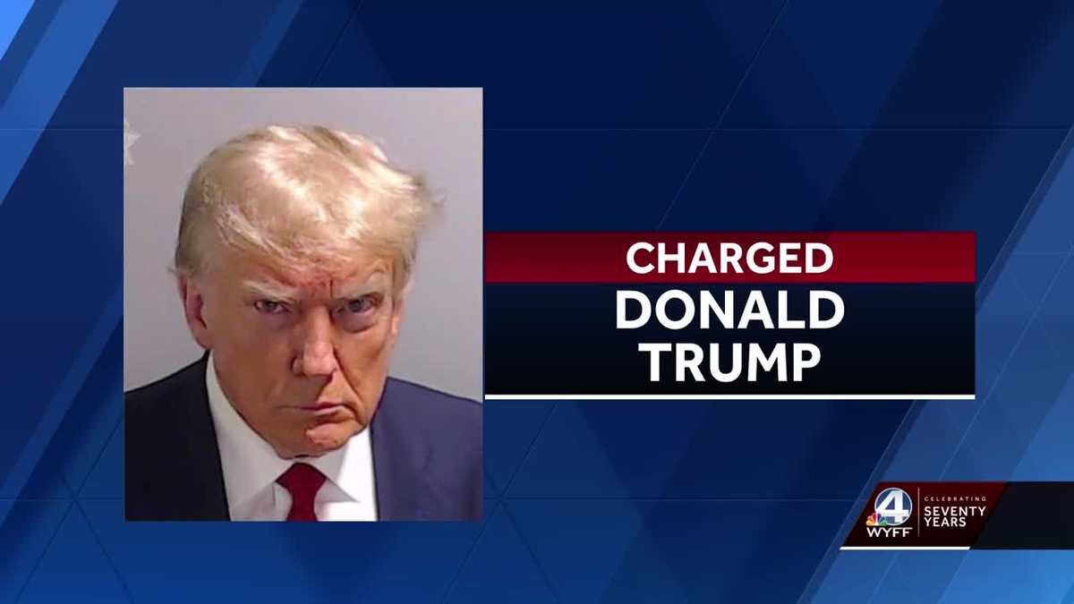 President Donald Trump mug shot