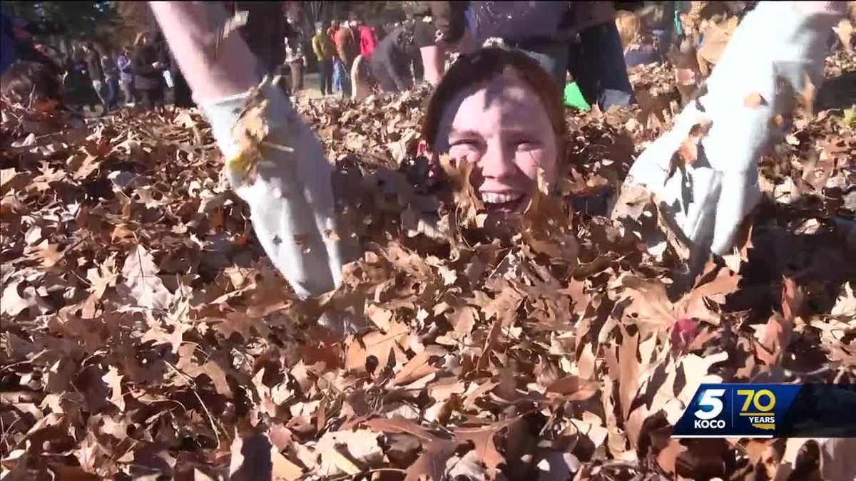 OSU students jump into giant leaf pile thanks to landscaping crew
