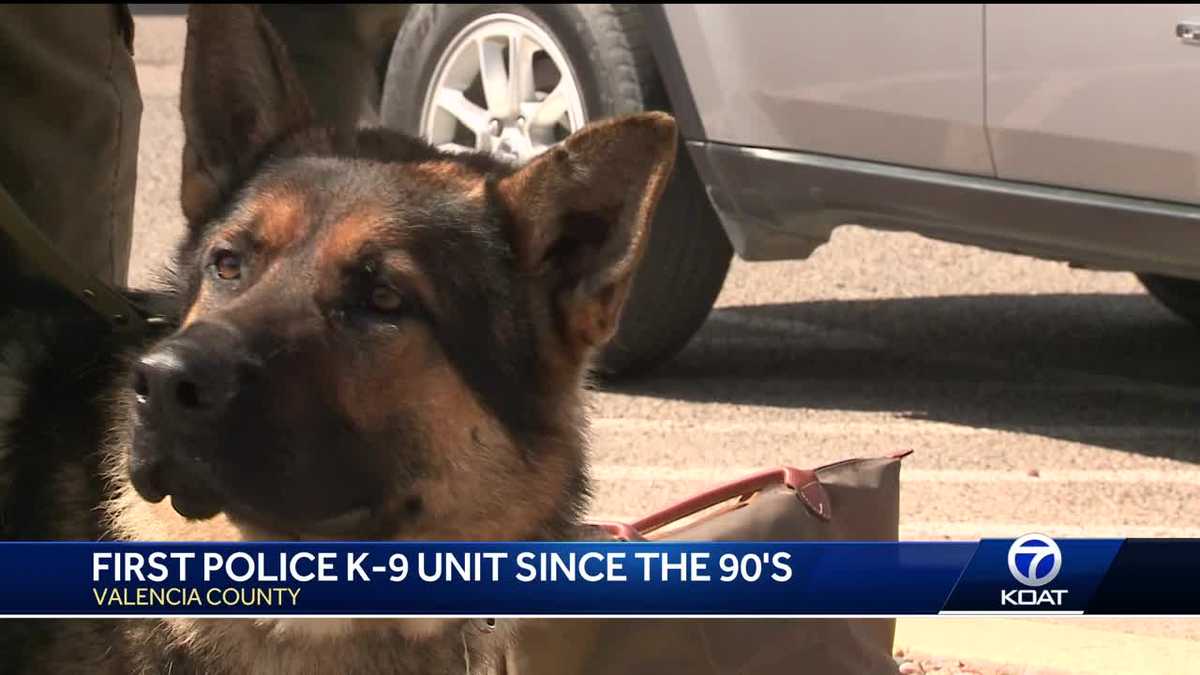 Valencia County gets first police dog since mid-90s