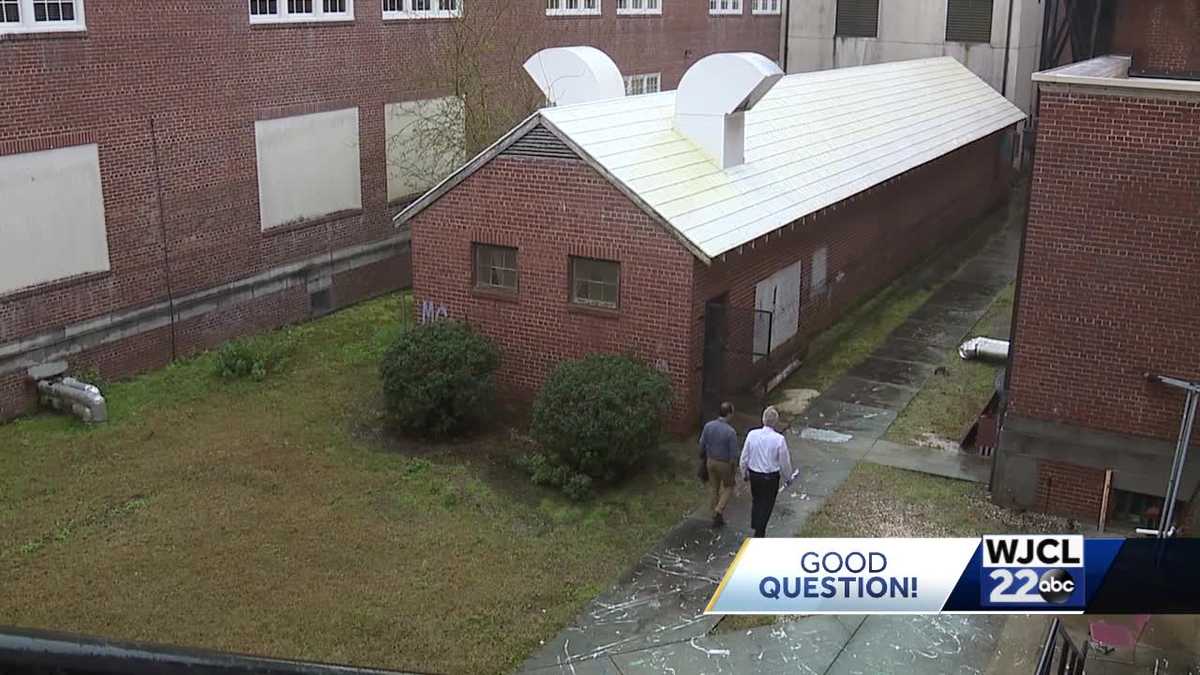 Was quiet Ardsley Park once home to a shooting range? Good question ...