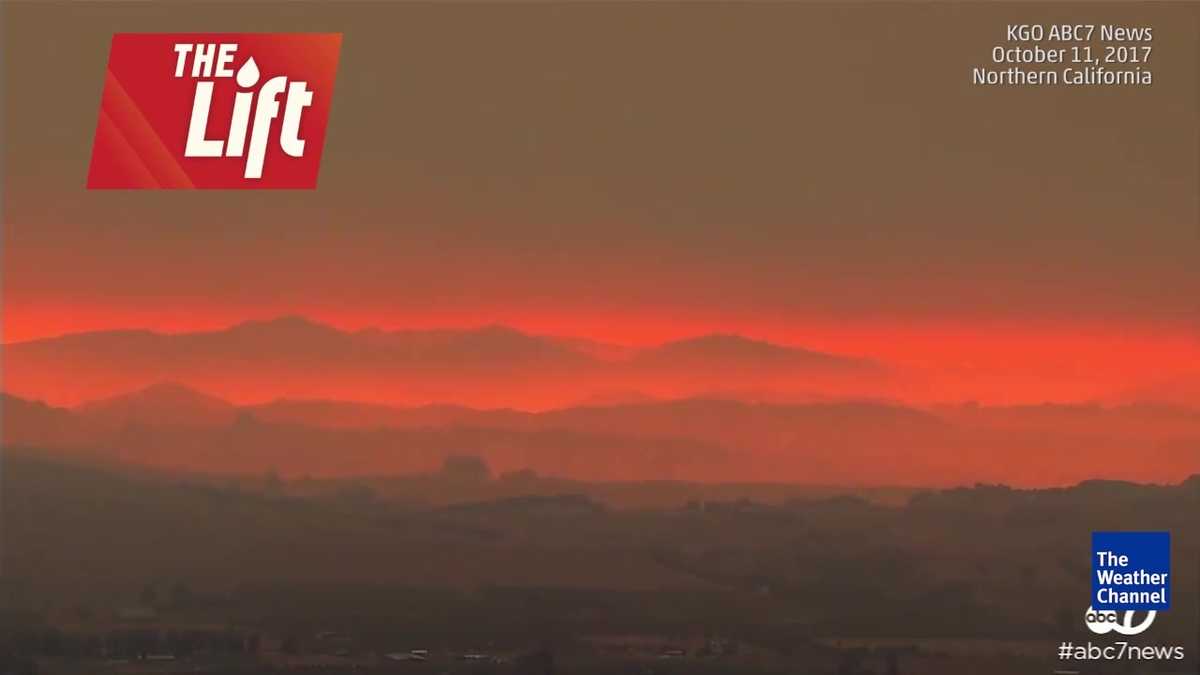 Wildfires Create 'Alien' Landscape