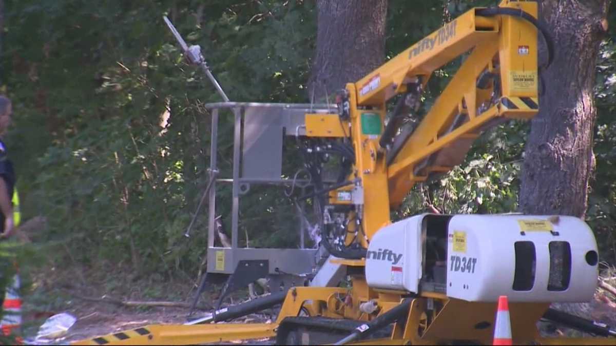 Tree-worker shocked, suffers life-threatening injuries