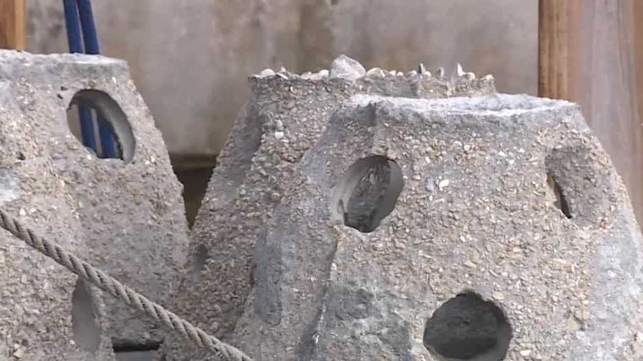 Florida nonprofit teaching kids how to build, deploy reef balls