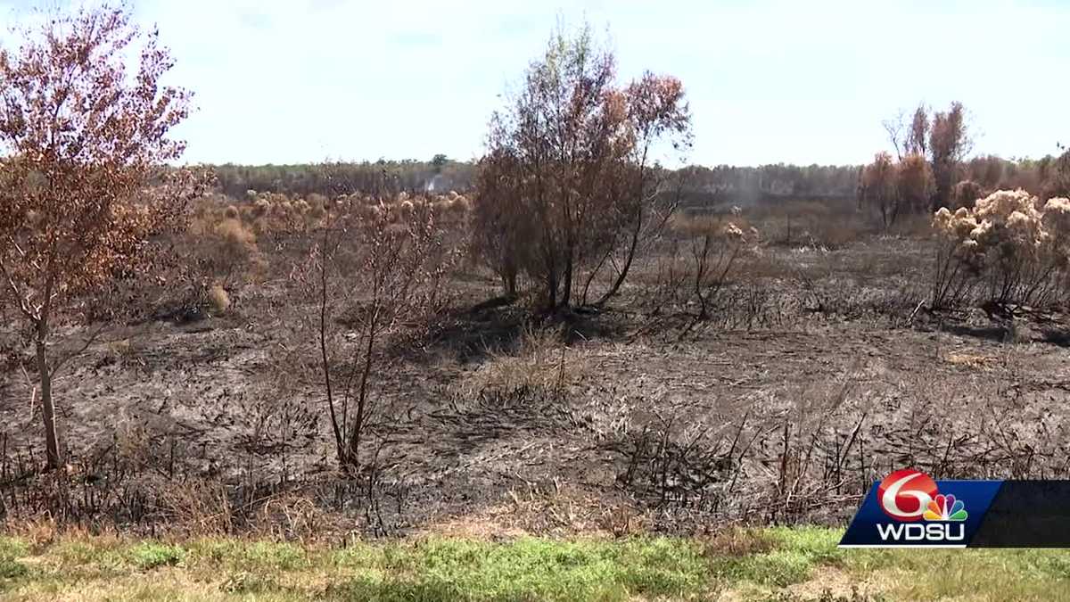 Lafitte marsh fire 52% contained; school delays continue