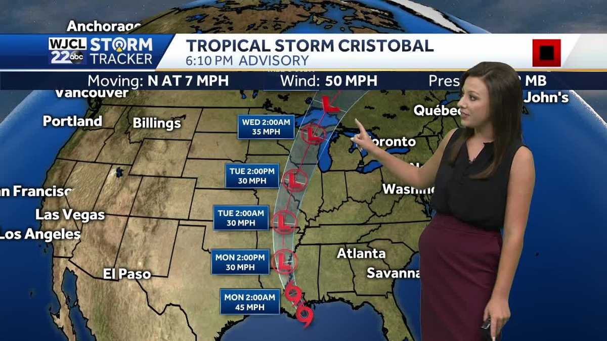 TS Cristobal makes landfall in Louisiana....rainy week ahead for the ...