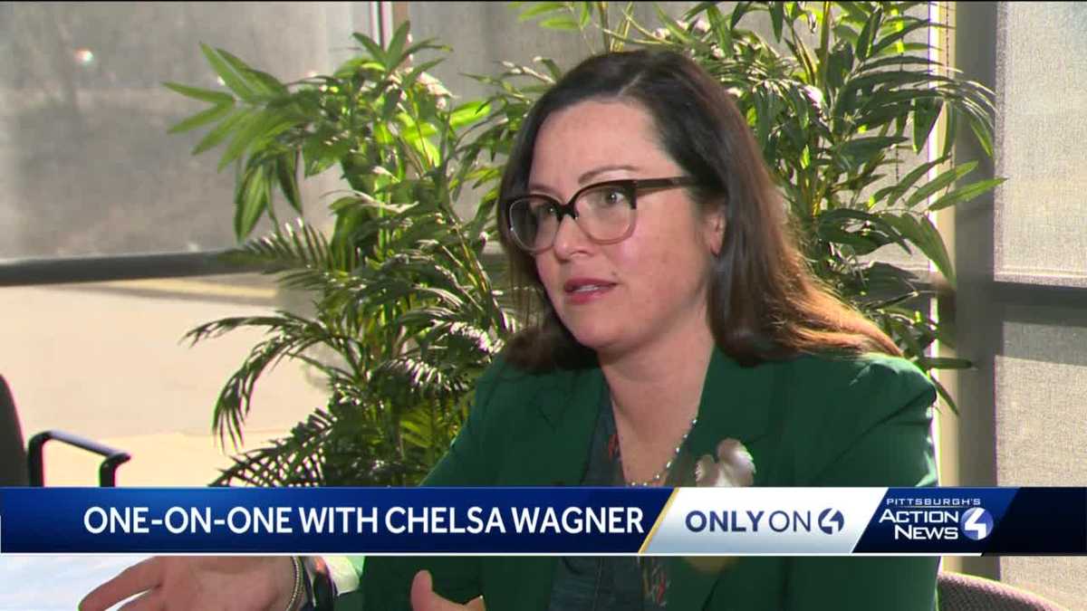 Allegheny County Controller Chelsa Wagner pleads no contest in Detroit ...