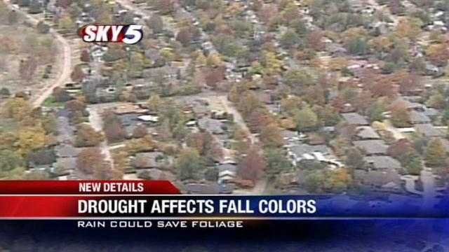 Drought affects fall colors