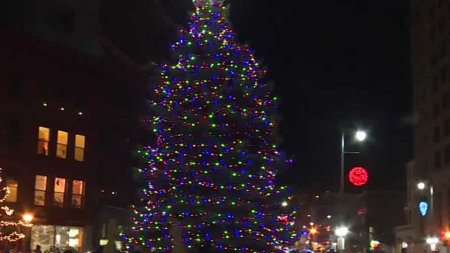 The search is on to find the perfect tree for Portland's Monument Square