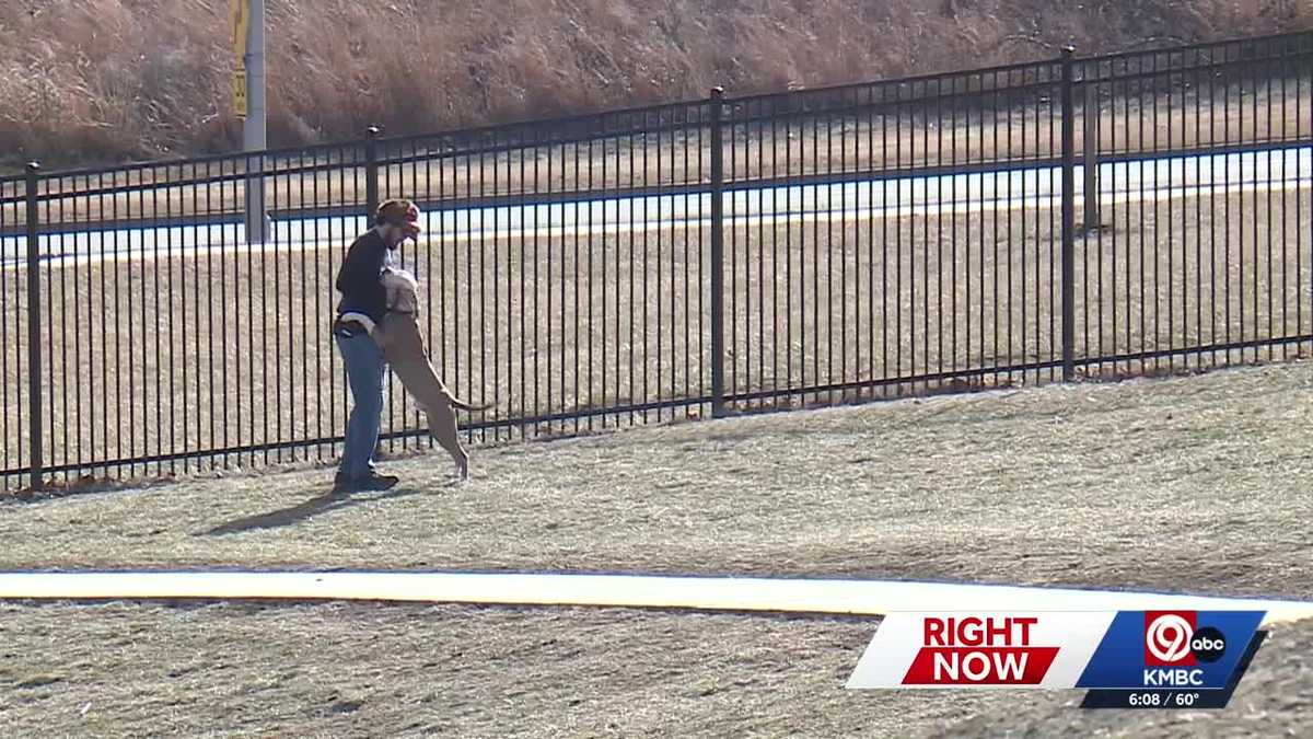 Adoptions fees waived at KC Pet Project this weekend
