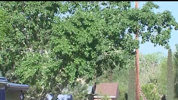 Police search for mother after newborn baby found dead inside dumpster