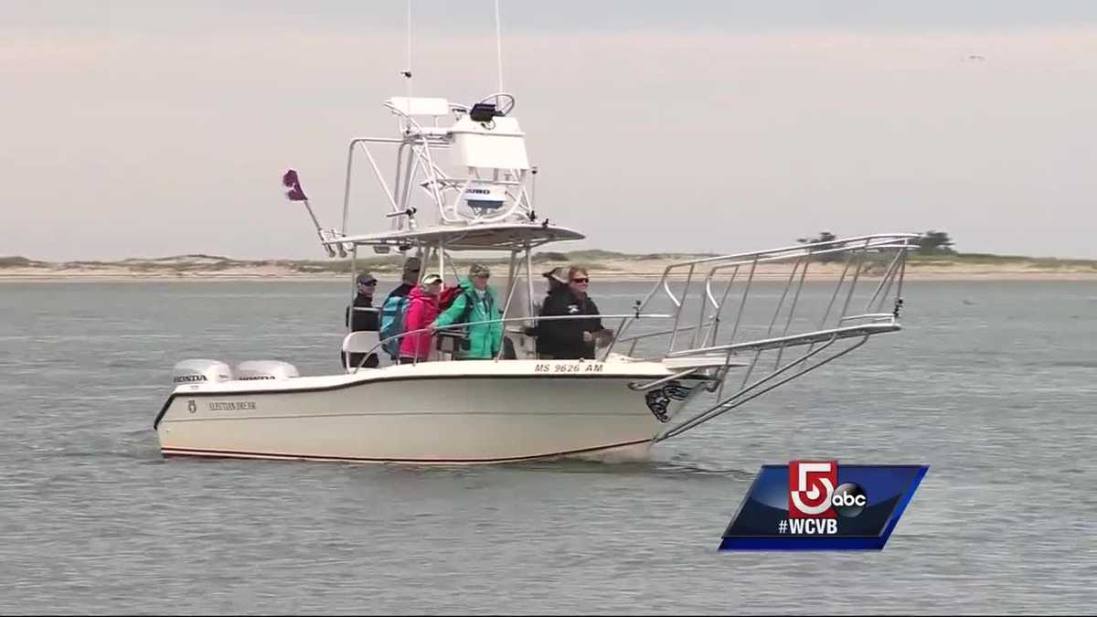 Great white shark spotted off Cape Cod beach