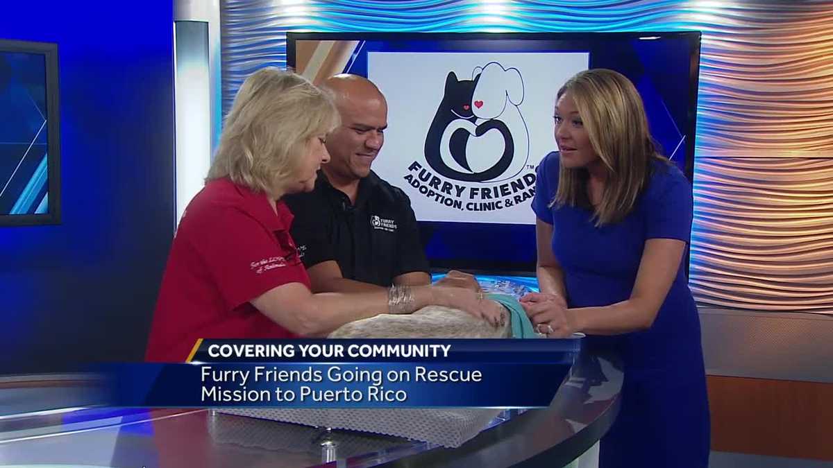 Local animal rescue to help pets in Puerto Rico