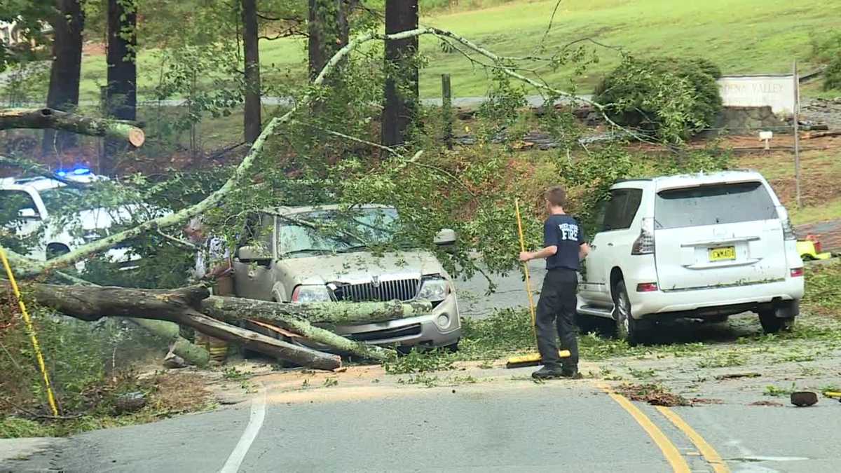 Storms topple trees, power lines on top of SUVs on Acton Road