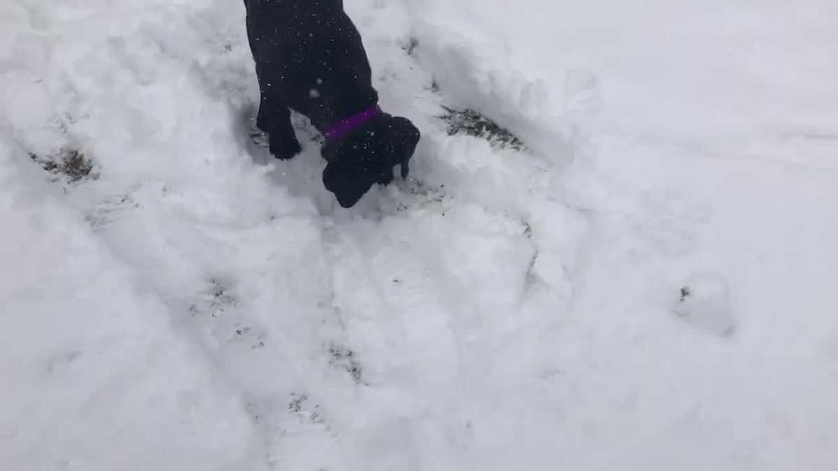 Camden's first snow!
