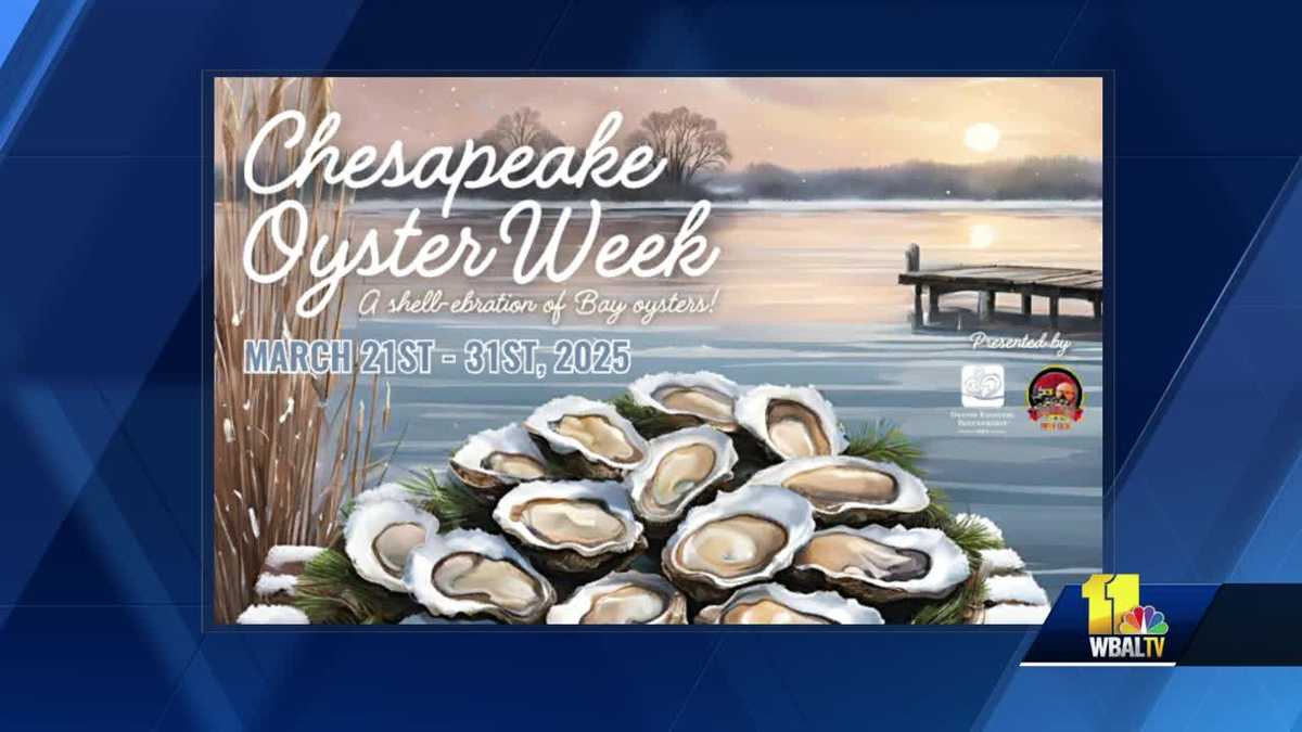 Oyster shell recycling key to Chesapeake Bay. Here's why