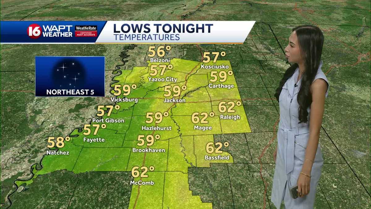 Comfortable and warm weather
