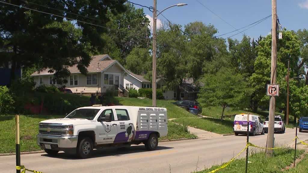 Dog attack leaves Des Moines man hospitalized