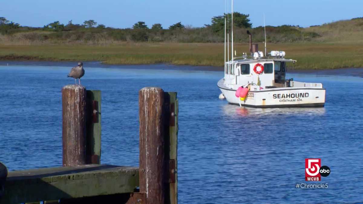 Coastal reads with author Keith Yocum and Chatham's Yellow Umbrella Books