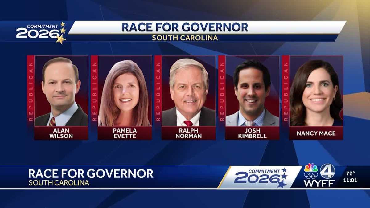 How could the SC Governor race shape up?