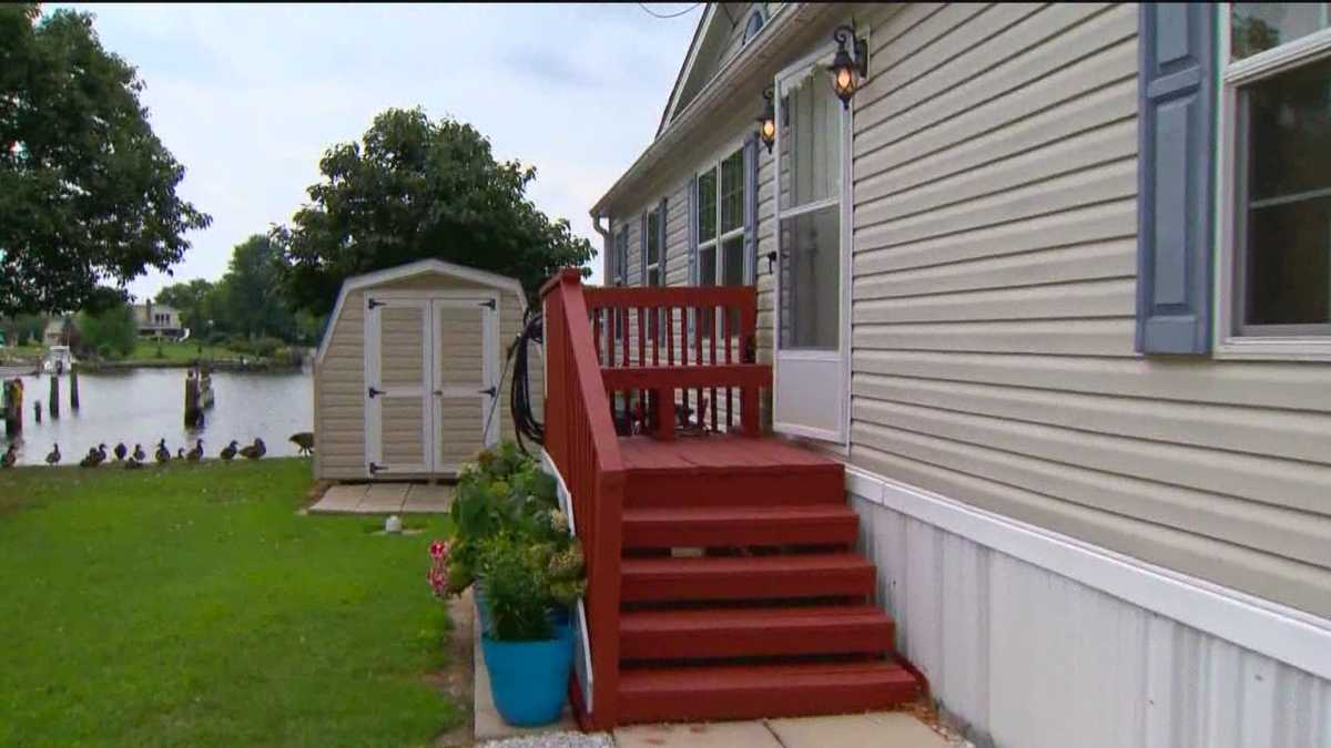 Police seized weapons prior to murder-suicide