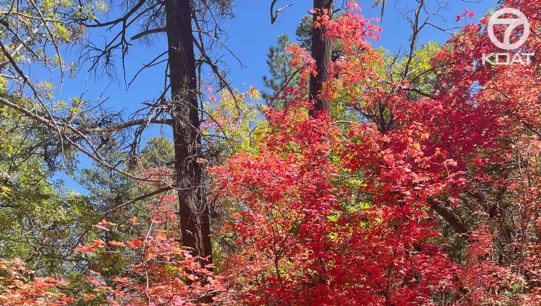 Best places to see fall colors in the country