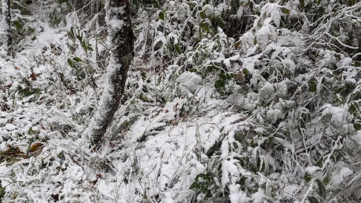 October snow in Western North Carolina