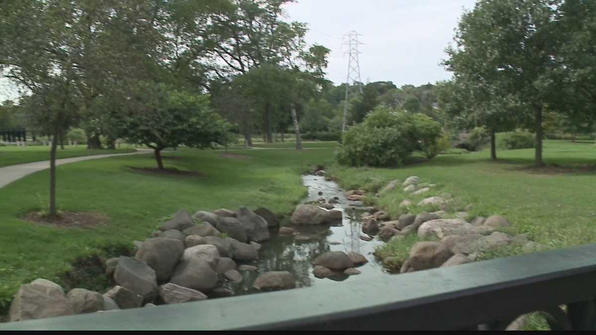 Waukesha's Frame Park infested by emerald ash beetle