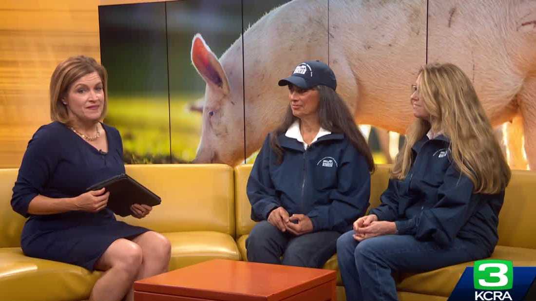 Emergency animal response group shares how to get pets wildfire ready