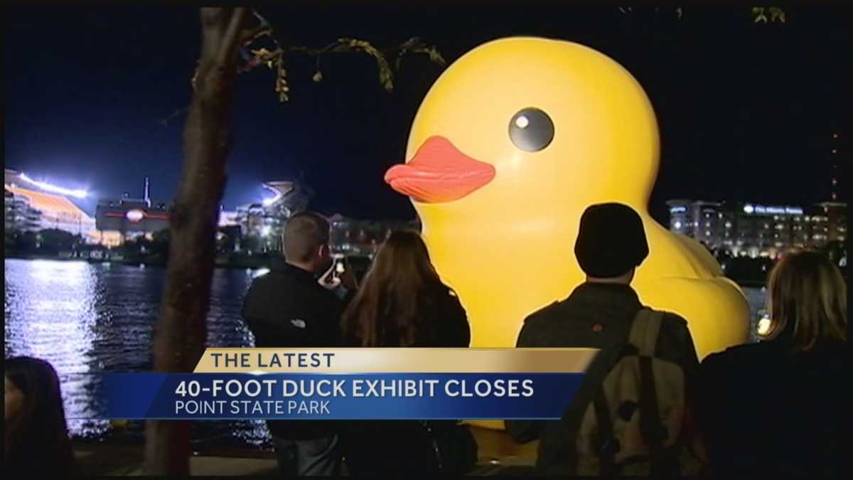 Saying Goodbye to the Duck