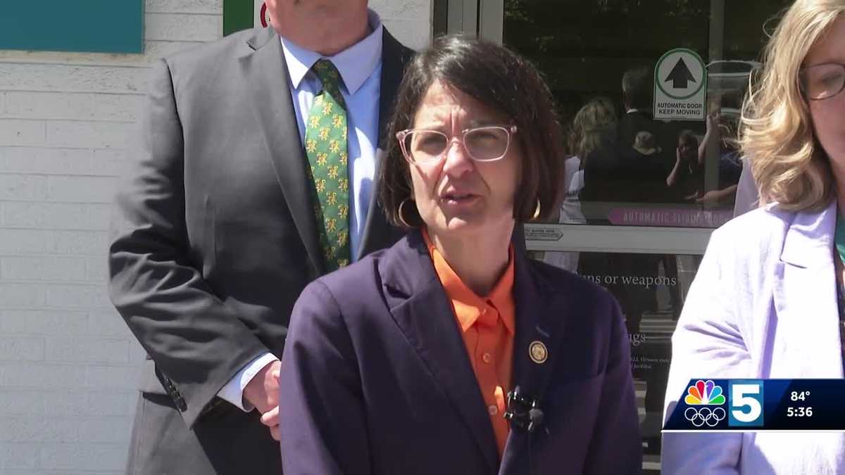 Vermont Rep. Becca Balint hosts town hall in New York's 21st District