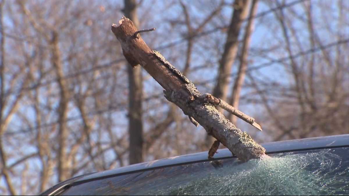 Tree branch crashes through Massachusetts car windshield