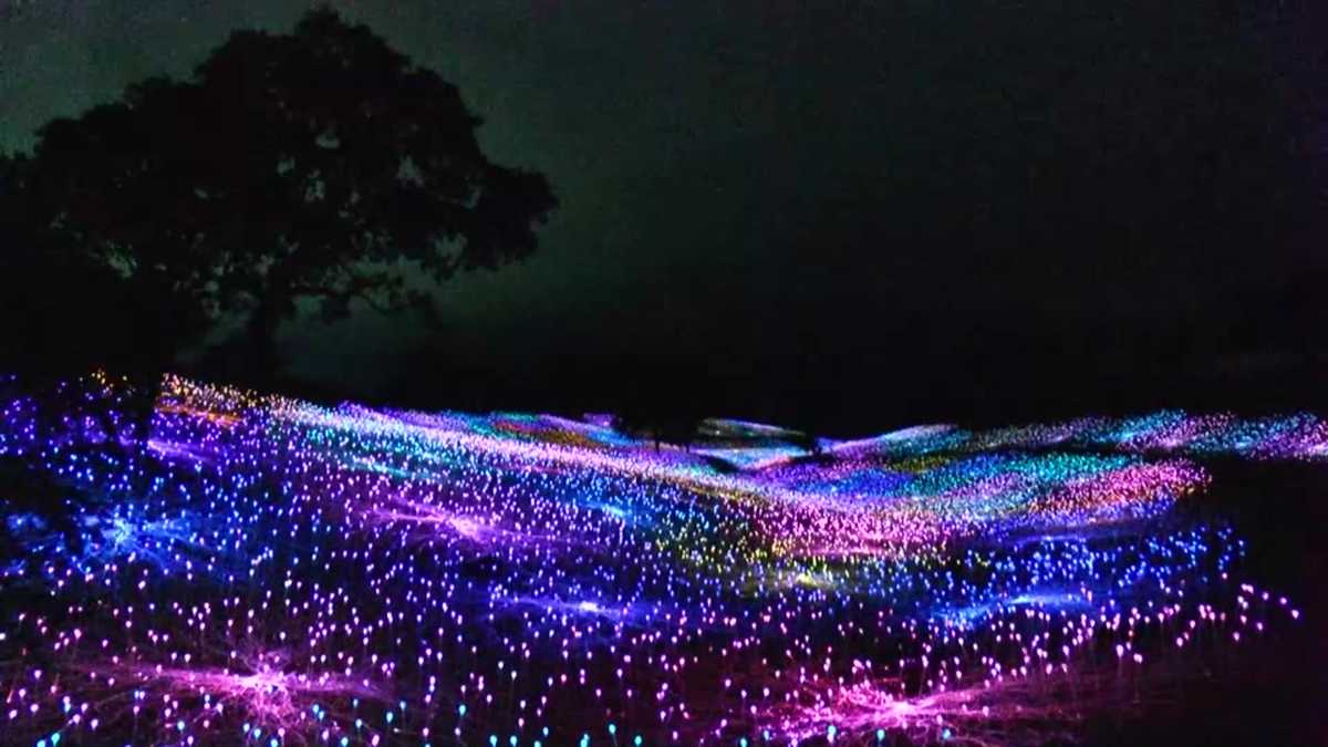 Sensorio light display provides sneak peek before grand opening