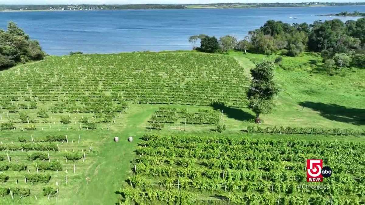 Connecticut boasts an extensive wine trail