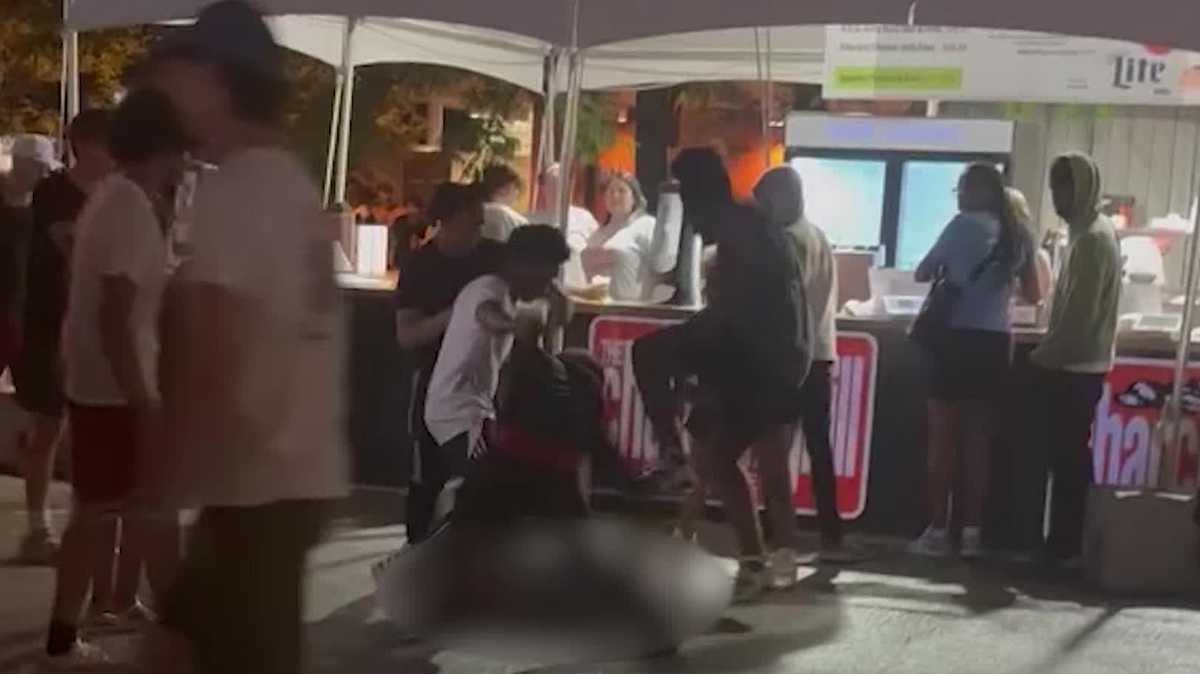 Multiple fights at Summerfest final night draw police response