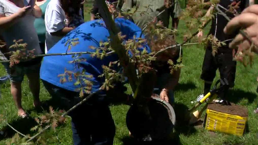 Trees planted to honor victims for Crime Victims' Rights Week