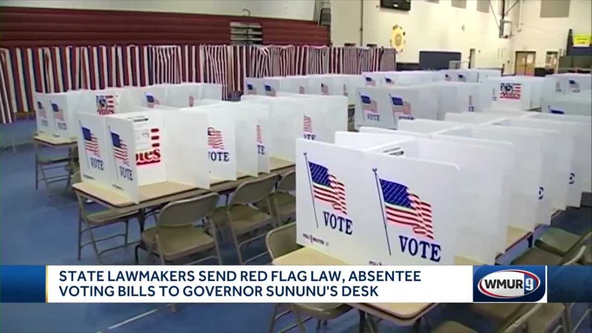 State lawmakers send red flag law, absentee voting bills to Gov. Sununu ...
