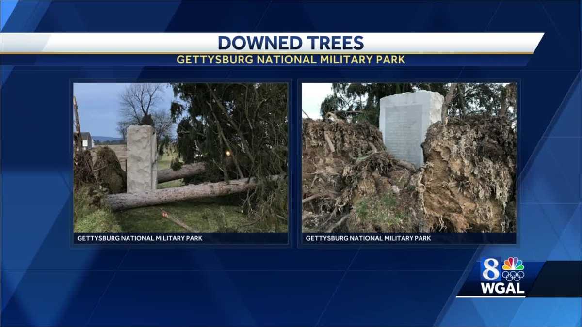 Strong winds knock down trees near monument on Gettysburg battlefield