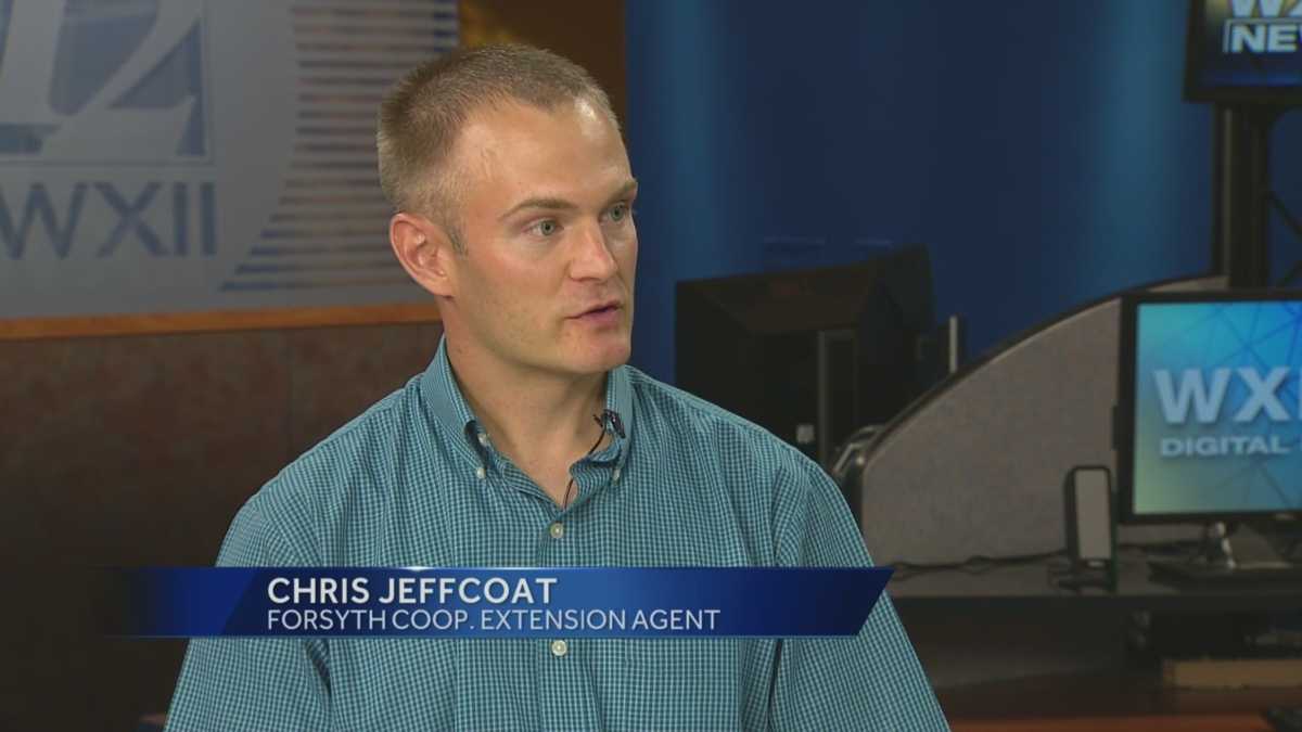 Cooperative Extension Interview: Chris Jeffcoat