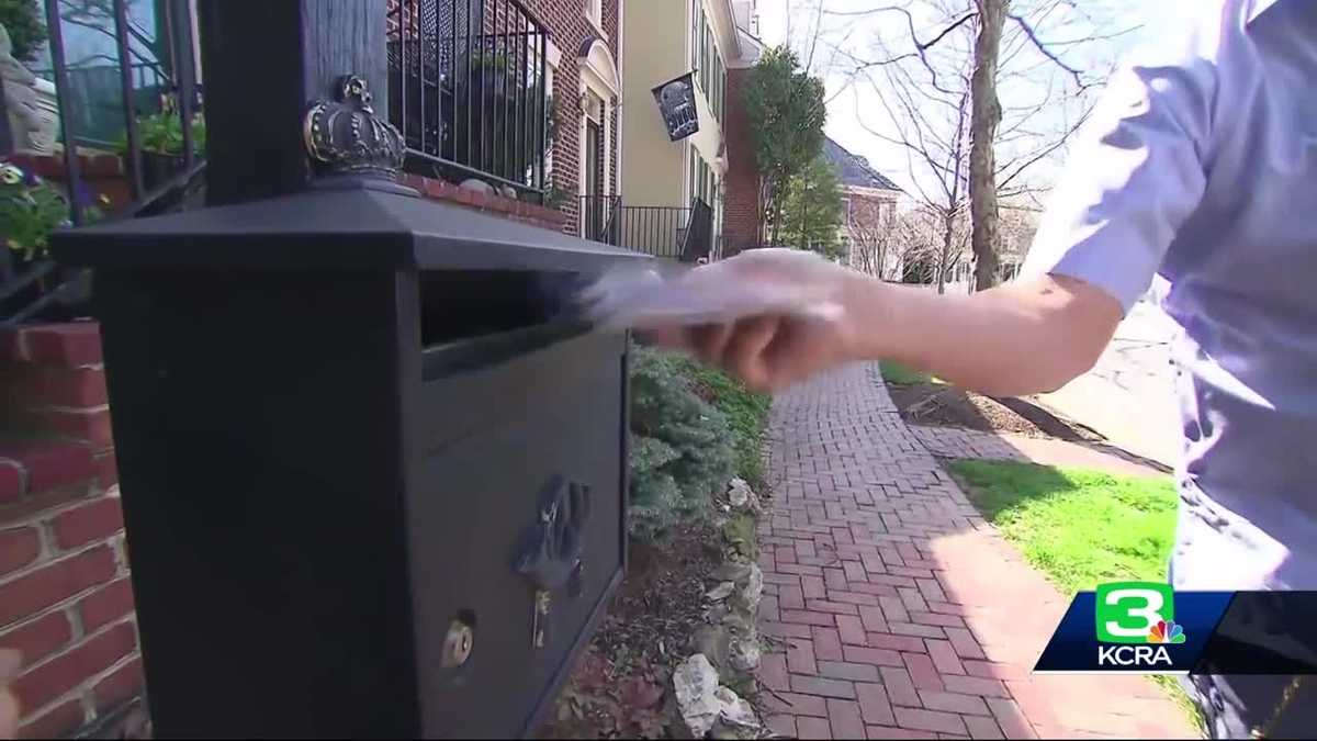 Rosemont neighborhood's flea infestation halts mail delivery