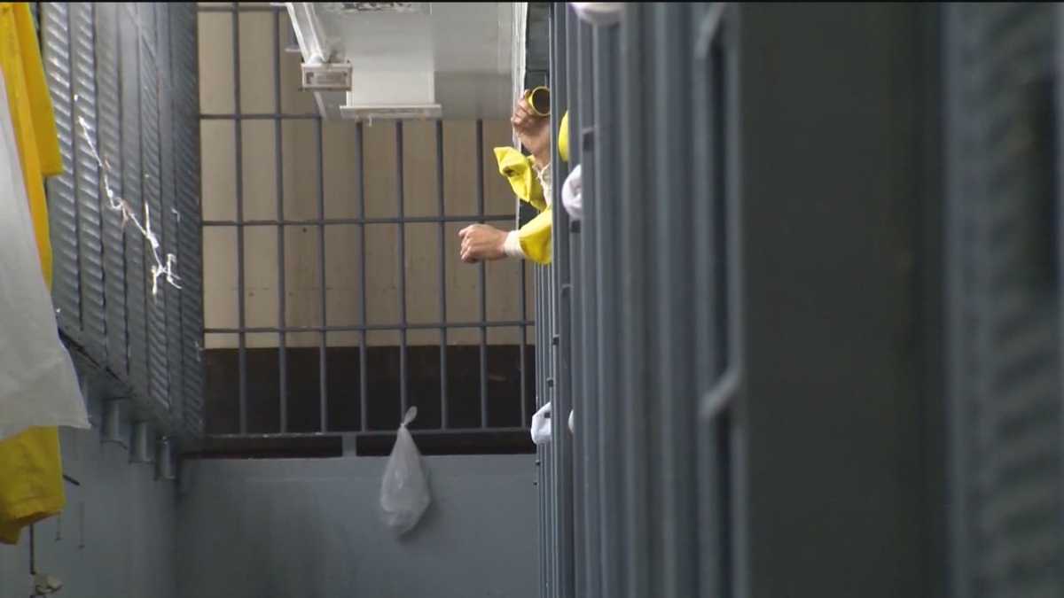 Council recommends reduced prison sentences, drug treatment