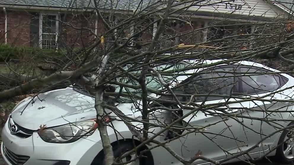Louisville Metro sets up tree debris drop-off sites across city